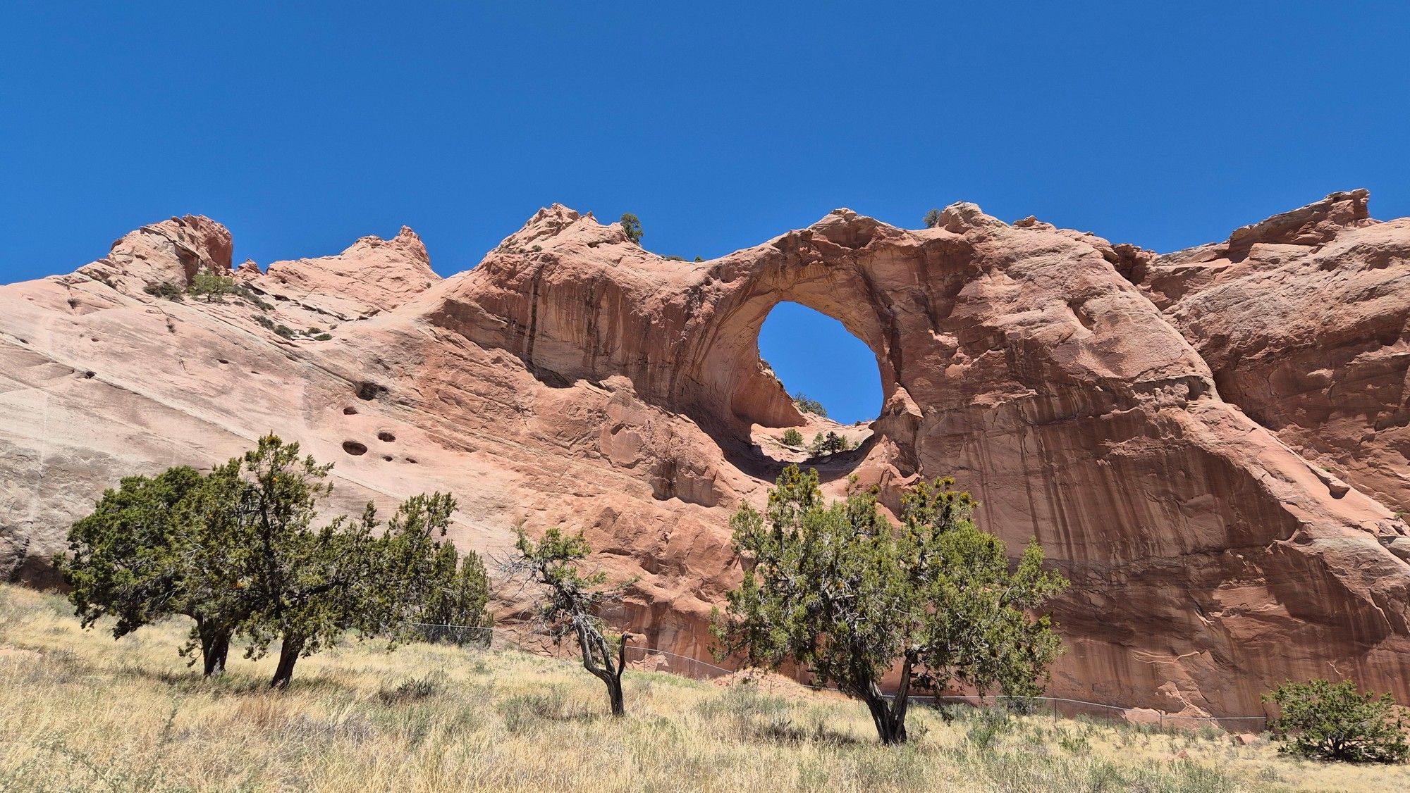 BLOG 15: Window Rock & die Navajo Nation