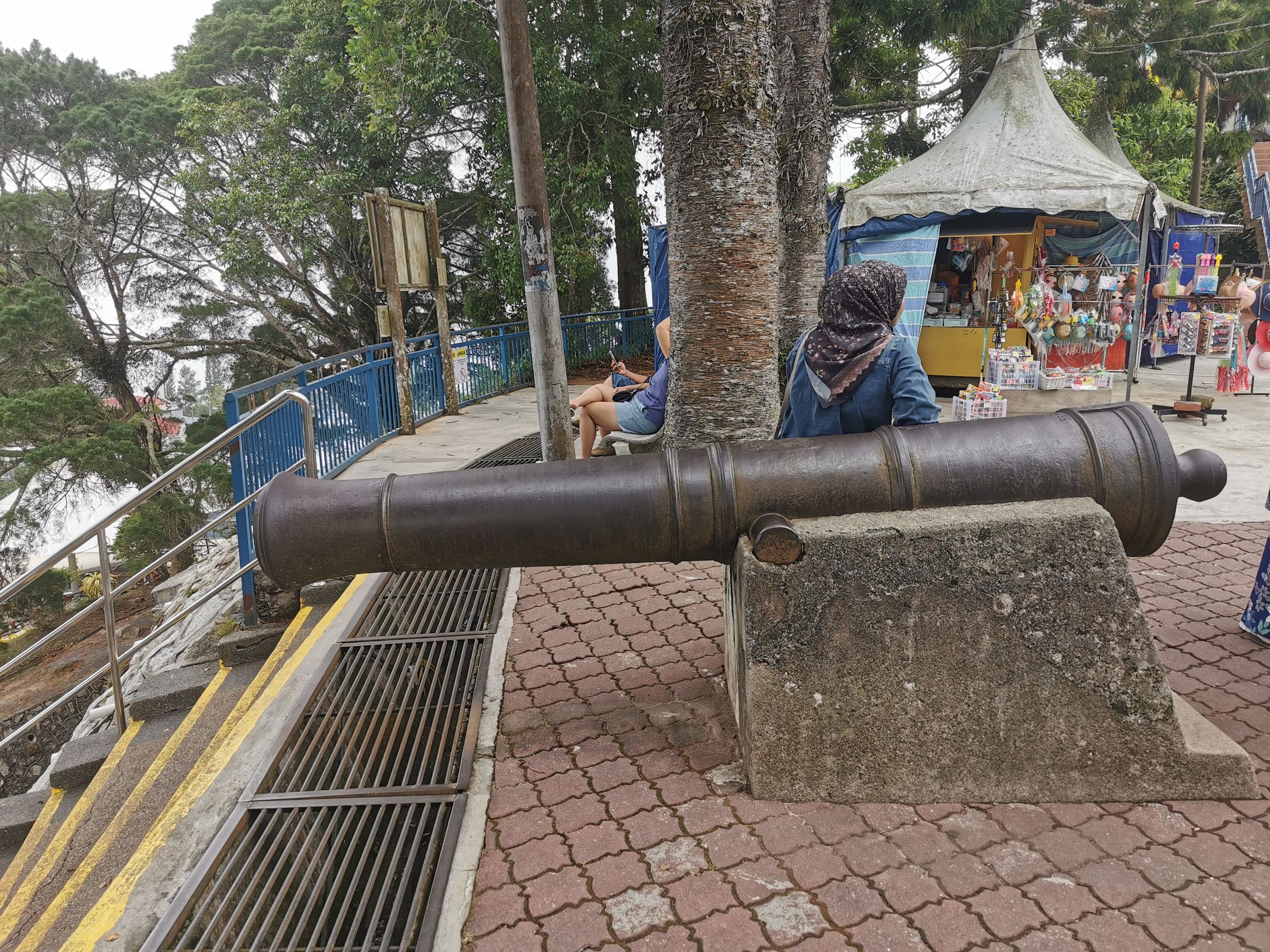 Visit to the Penang Hill Biosphere Reserve with unexpected hiking